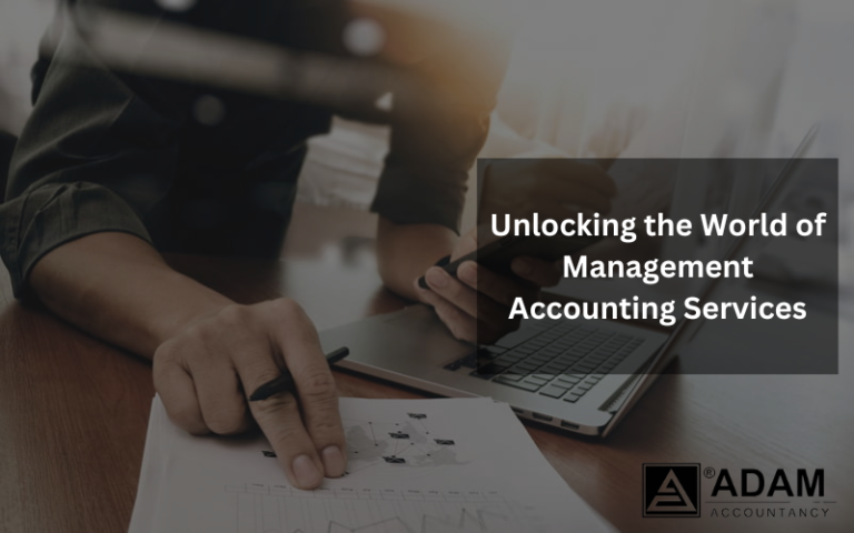 Management Accounting Services: Driving Business Success