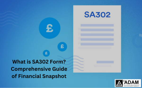 What is SA302 Form? Comprehensive Guide of Financial Snapshot