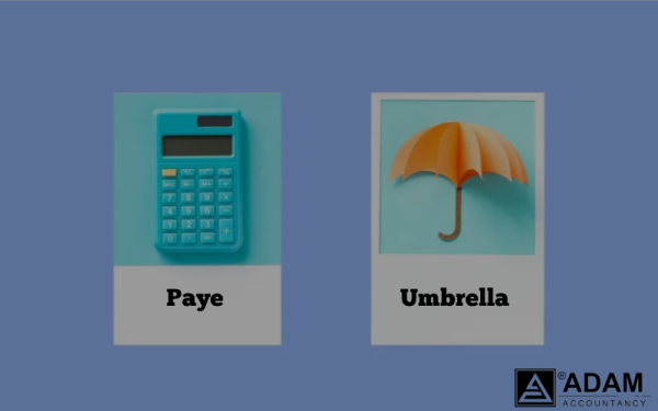Difference between Umbrella vs Paye, Key points and Benefits