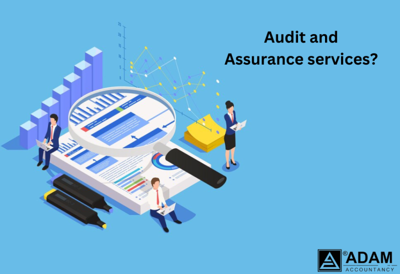 Trusted Audit and Assurance Services for Financial Reporting