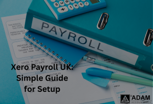 Xero Payroll UK – Easy Setup, Costs & Login Guide